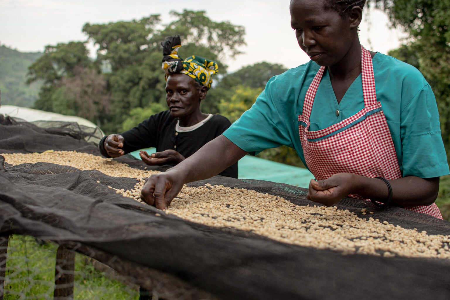 Empow'Her - Accompagner les femmes entrepreneures